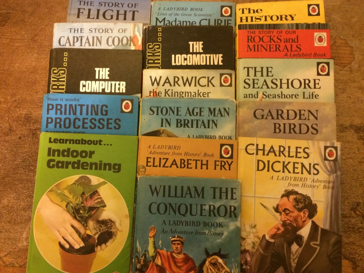 Ladybird series books – YOU ARE MOVING UP